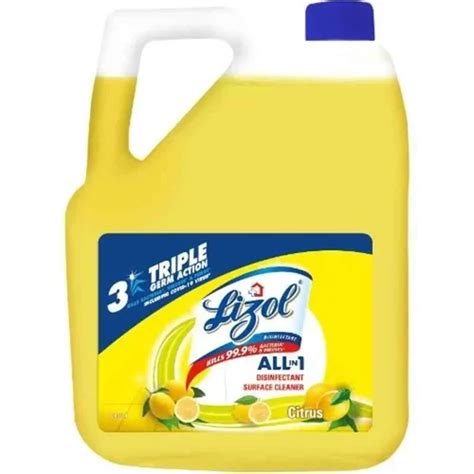 Lizol Floor Cleaner at ₹ 685/can | Burari | New Delhi | ID: 2854140167130