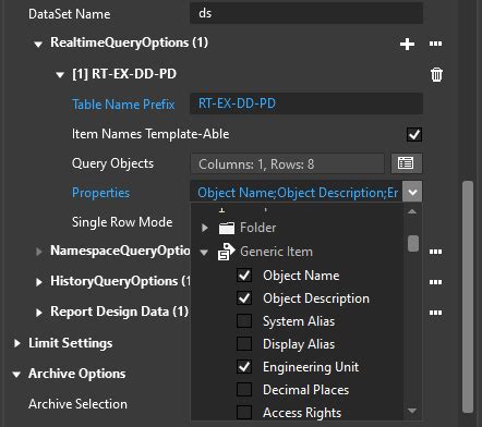 Report Item Query Options Configuration