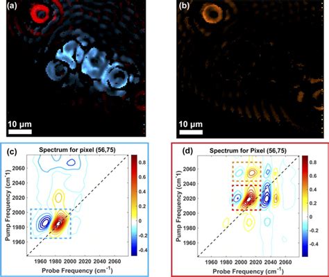 Wide Field Femtosecond Infrared Imaging Zanni Group Uwmadison
