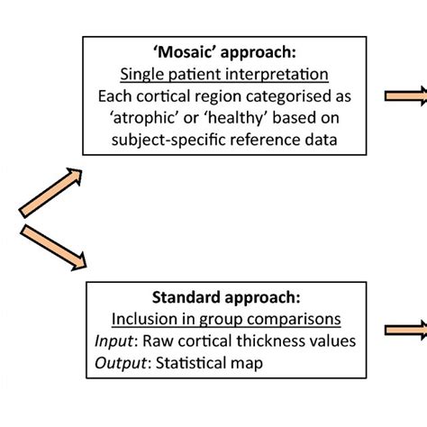 Method Overview The Standard Versus The ‘mosaic Approach For