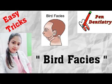 Bird Facies