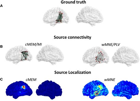 Source Localization Versus Source Connectivity A The Reference Download Scientific Diagram