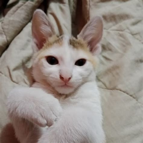 Kim Sofia 001 Youtube