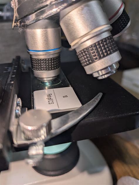 Microscope Digital Optical Microscope Kandf Concept