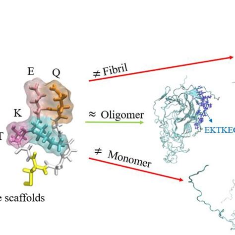 Ability Of Mabs To Distinguish Between Toxic Oligomers And Physiologic