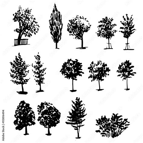 Drawing Collection Of 14 Elements Of Different Types Of Trees Graphic Ink Sketch Hand Drawn