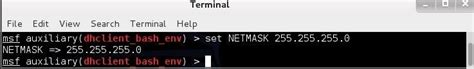 hack like a pro how to hack the shellshock vulnerability null byte