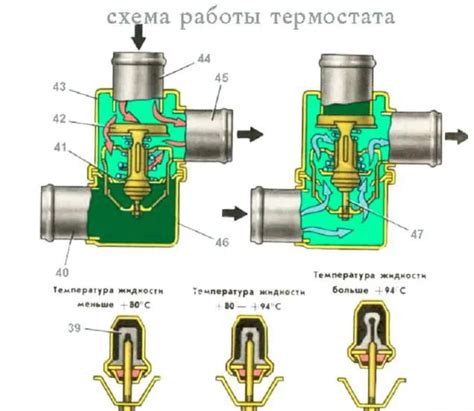 Устройство системы охлаждения Нива Шевроле. Система охлаждения нива ...
