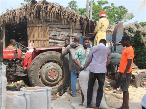 Transformative Adaptation Made Possible With Local Knowledge And Muscle