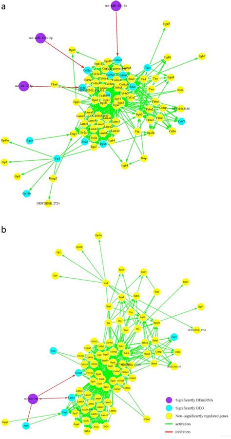 Comparing Ecm Receptor Interaction Pathway For A Da And B Non Da