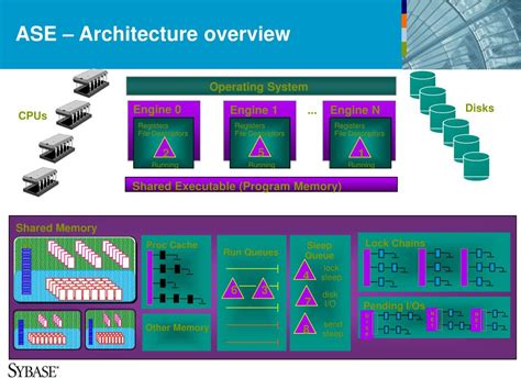 Ppt Dbms Performance A Multidimensional Challenge Powerpoint