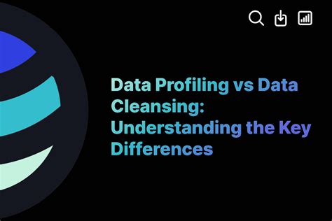 Data Profiling Vs Data Cleansing Understanding The Key Differences ExactBuyer