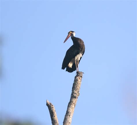 Img 0307 Chris Kehoe Flickr