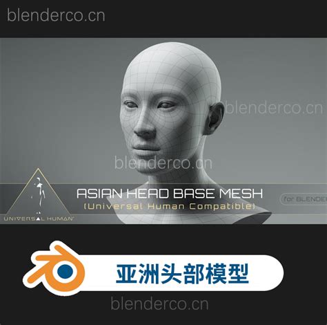 Blender亚洲通用基础网格头部面貌特征模型 Universal Human Asian Head Base Mesh 3 0 Blender布的