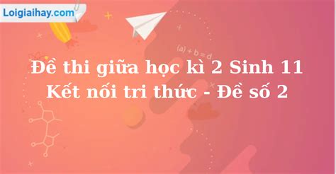 Đề thi giữa học kì Sinh Kết nối tri thức Đề số Đề thi đề kiểm tra Sinh lớp Kết