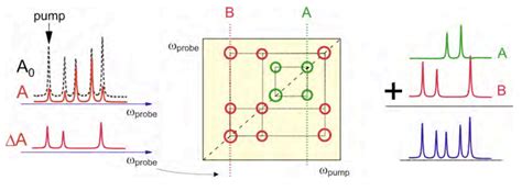 5 1 Two Dimensional Correlation Spectroscopy Chemistry Libretexts