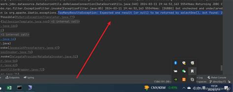 Toomanyresultsexception Expected One Result Or Null To Be Returned
