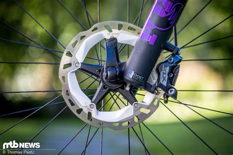 Foto: IMG 9150 - MTB-News.de