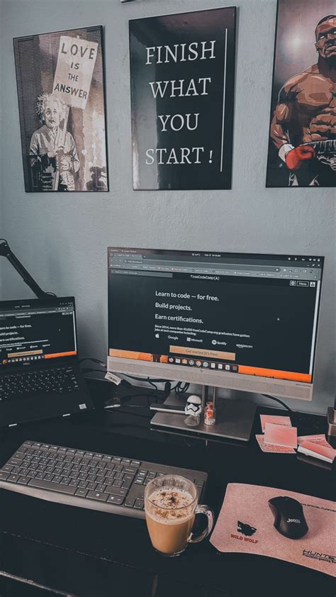 mustafa karimi on linkedin freecodecamp