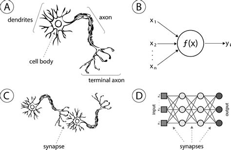 Fungsi Aktivasi Dasar Dasar Sigmoid Relu Leaky Relu Dan Softmax Untuk Neural Networks Dan