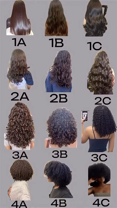 Curl Types Chart