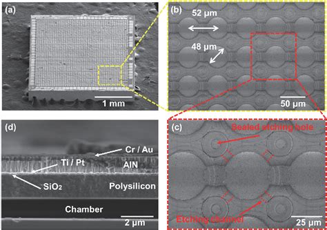Figure 1 From High Fill Factor Array Of Piezoelectric Micromachined Ultrasonic Transducers With