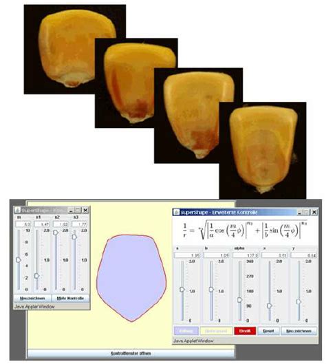 Fragment Of Training Data Set Download Scientific Diagram