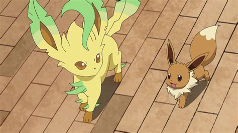 Eevee And Leafeon By Willdinomaster55 On Deviantart
