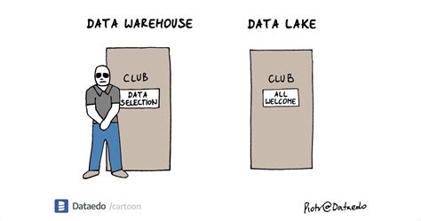 Data Warehouse Vs Data Lake 2 The Gatekeeper Dataedo Data Cartoons