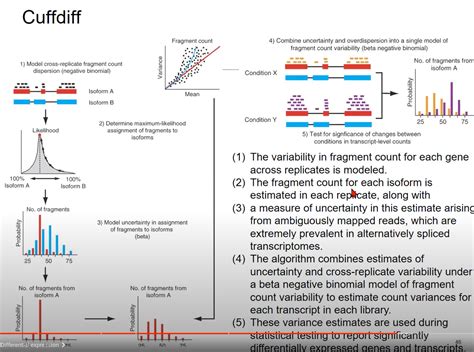 【rna Structures】rna Seq 分析 Rna转录的重构和前沿测序技术转录组测序和分析原理 Csdn博客