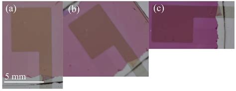 Researchers Devise New Tool To Measure Polarization Of Light
