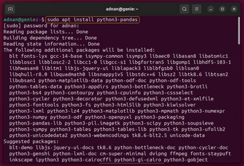 How To Install Pip On Ubuntu 2404 Linux Genie