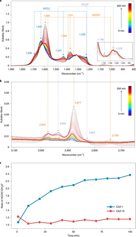 Characterization And Evolution Of Reactive Intermediates Ab In Situ