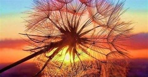 Imgur The Simple Image Sharer R Pics