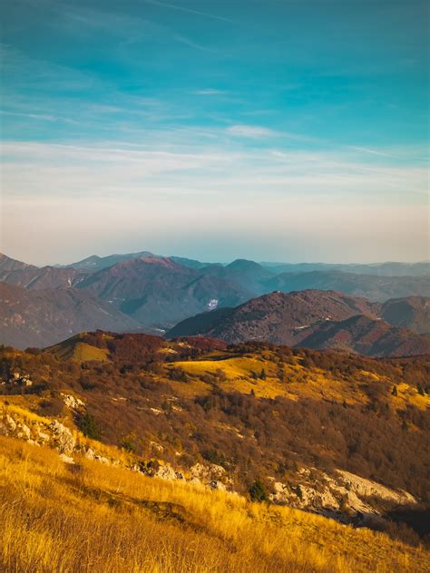 언덕과 나무가있는 풍경 사진 Unsplash의 무료 코바리드 이미지