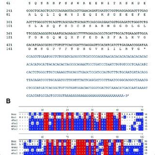 Sequence Analysis Of Zebrafish Pin1 A The Full Length CDNA Sequence Download Scientific