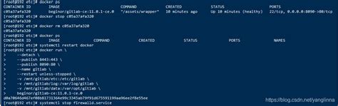 基于docker部署gitlab环境搭建 阿里云开发者社区