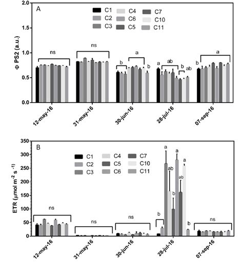 Chlorophyll A Fluorescence From Light Adapted Leaves Quantum Download Scientific Diagram