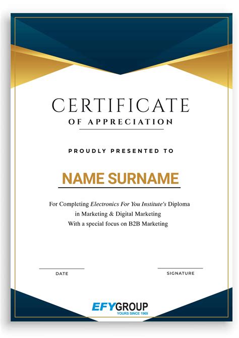 Digital Marketing Certificate Programme Efy Group