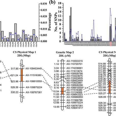 bas 660 k snp analysis and construction of genetic maps a b overview