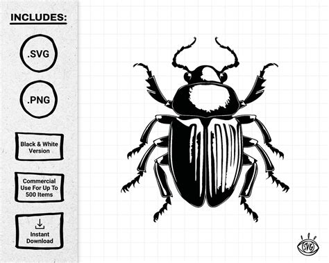 Buy Bug Svg Bug Png Beetle Svg Bug Clipart Insect Svg Online In India Etsy