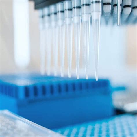 Elisa Assay Validation How Automation Can Help