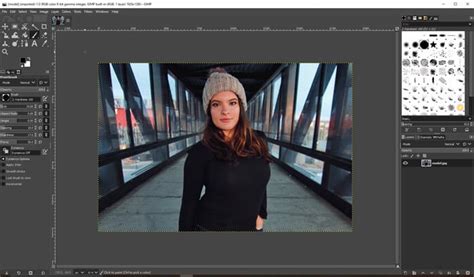 GIMP Blur Background Different Steps Of GIMP Blur Background