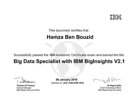 Big Data Specialist With Ibm Big Insights V2 1 Pdf