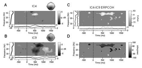 Timefrequency Decompositions Of Independent Component Activities