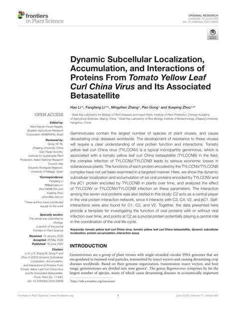 Pdf Dynamic Subcellular Localization Accumulation And Interactions Of Proteins From Tomato