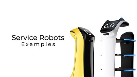 19 Service Robots Examples Proven Robotics
