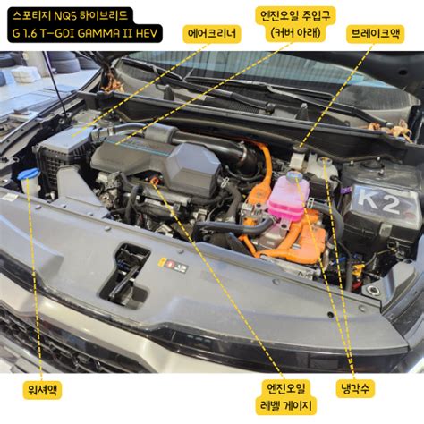 스포티지 Nq5 하이브리드 Hev 엔진 엔진오일량 워셔액 위치