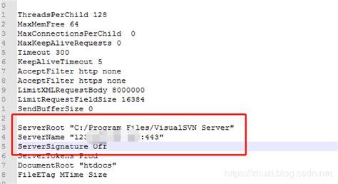 修改visualsvn Server地址为ip地址，修改svn服务端地址为ip或者域名地址的方法 黑夜的宠儿 博客园