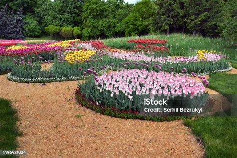 공원에 다양한 종류와 색상의 화려한 튤립 꽃이 있는 둥근 화단 0명에 대한 스톡 사진 및 기타 이미지 0명 계절 공원 Istock